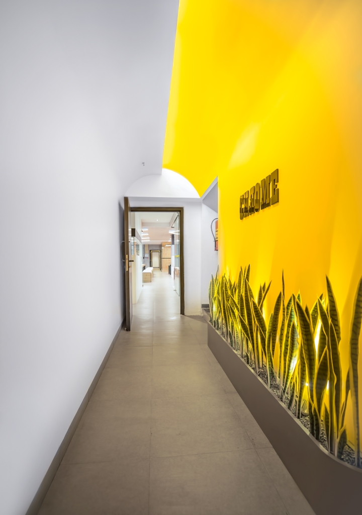 Daily Yoga for Staff, Salad During Shoots: Aleya Sen’s Film Company ...