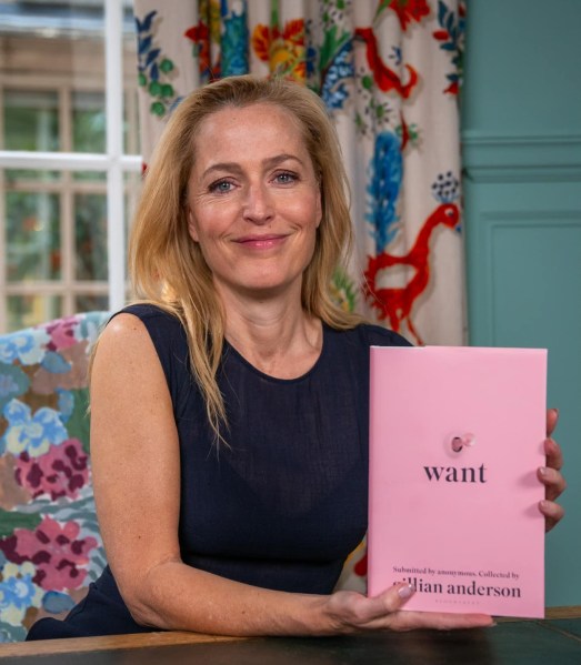 Actor Gillian Anderson’s book ‘Want’ serves up women’s secret fantasies ...